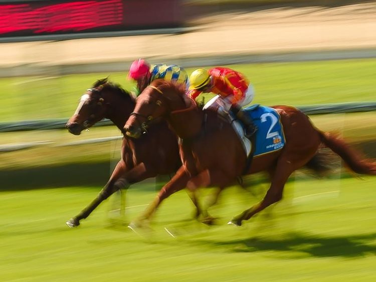 Practical Punting - Robl after more Brisbane black-type wins